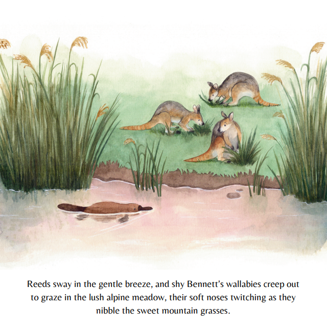 Little Wombat Books